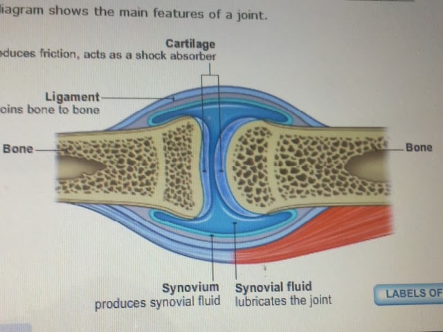 Know Your Science: 2014